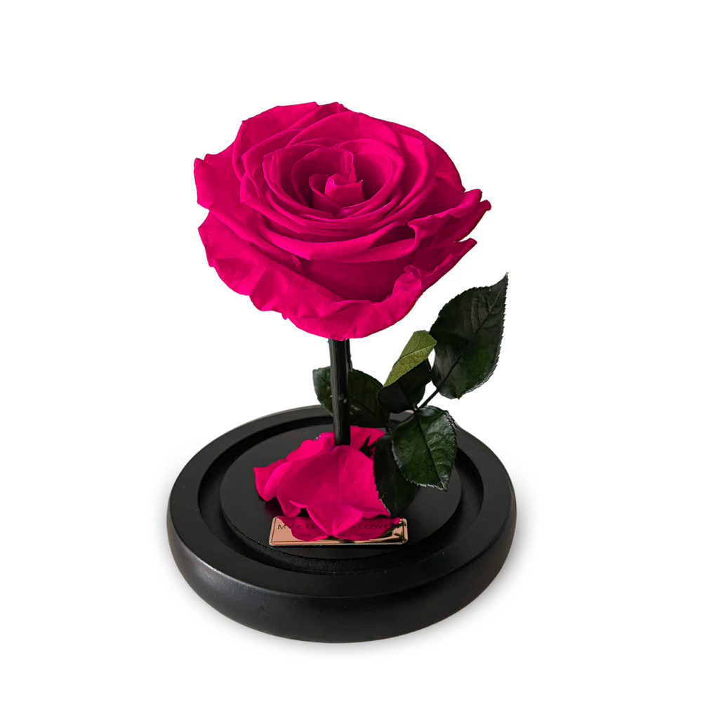 Mini Luxe Eternal Rose Dome in Pink Rose – My Eternal Flower