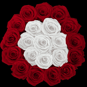 Real Roses That Last A Year | Eternal Flower® & Luxury Gifts – My ...