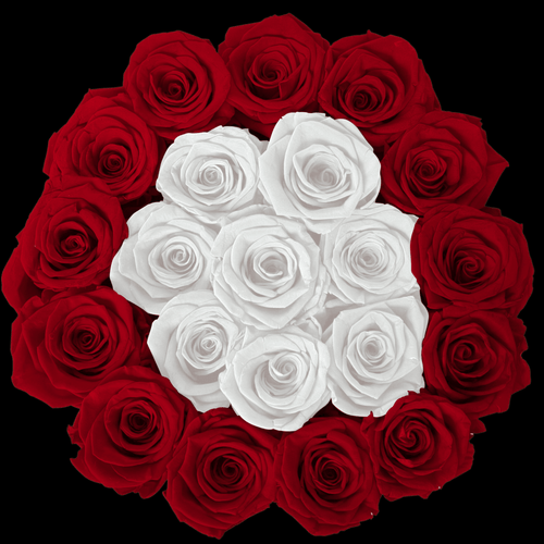 Real Roses That Last A Year | Eternal Flower® & Luxury Gifts – My ...