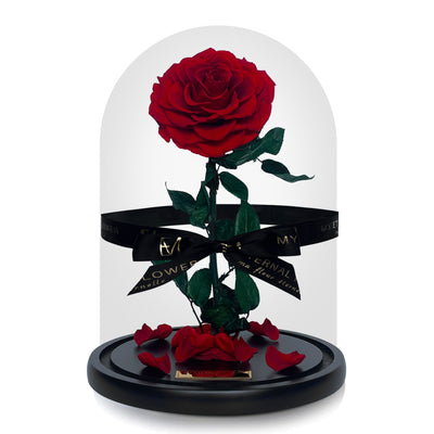 Real Roses That Last A Year | Eternal Flower® & Luxury Gifts – My ...
