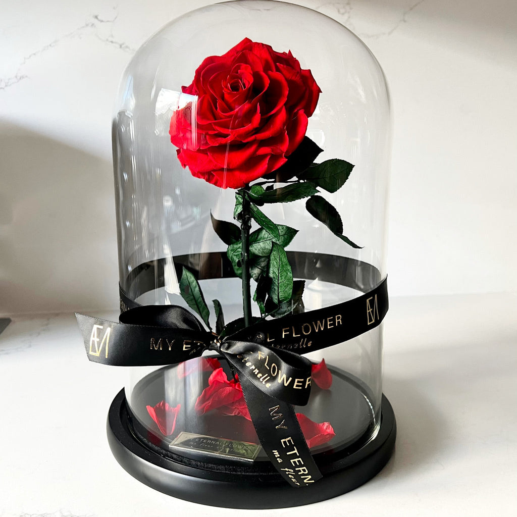 Grande Eternal Rose Dome in Red Rouge – My Eternal Flower
