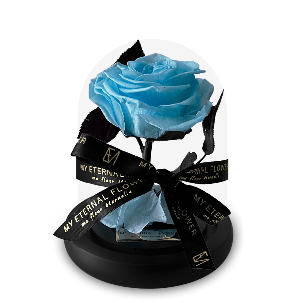 Mini Luxe Eternal Rose Dome in Aqua Blue – My Eternal Flower