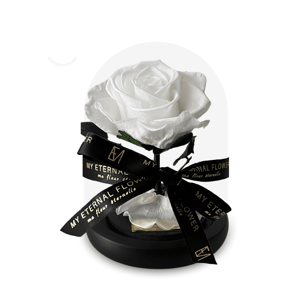 Mini Luxe Eternal Rose Dome in Blanc White – My Eternal Flower