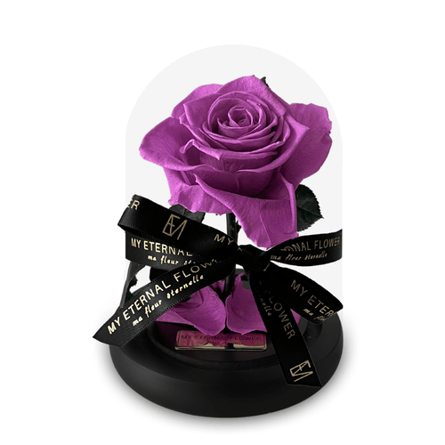 Real Roses That Last A Year | Eternal Flower® & Luxury Gifts – My ...