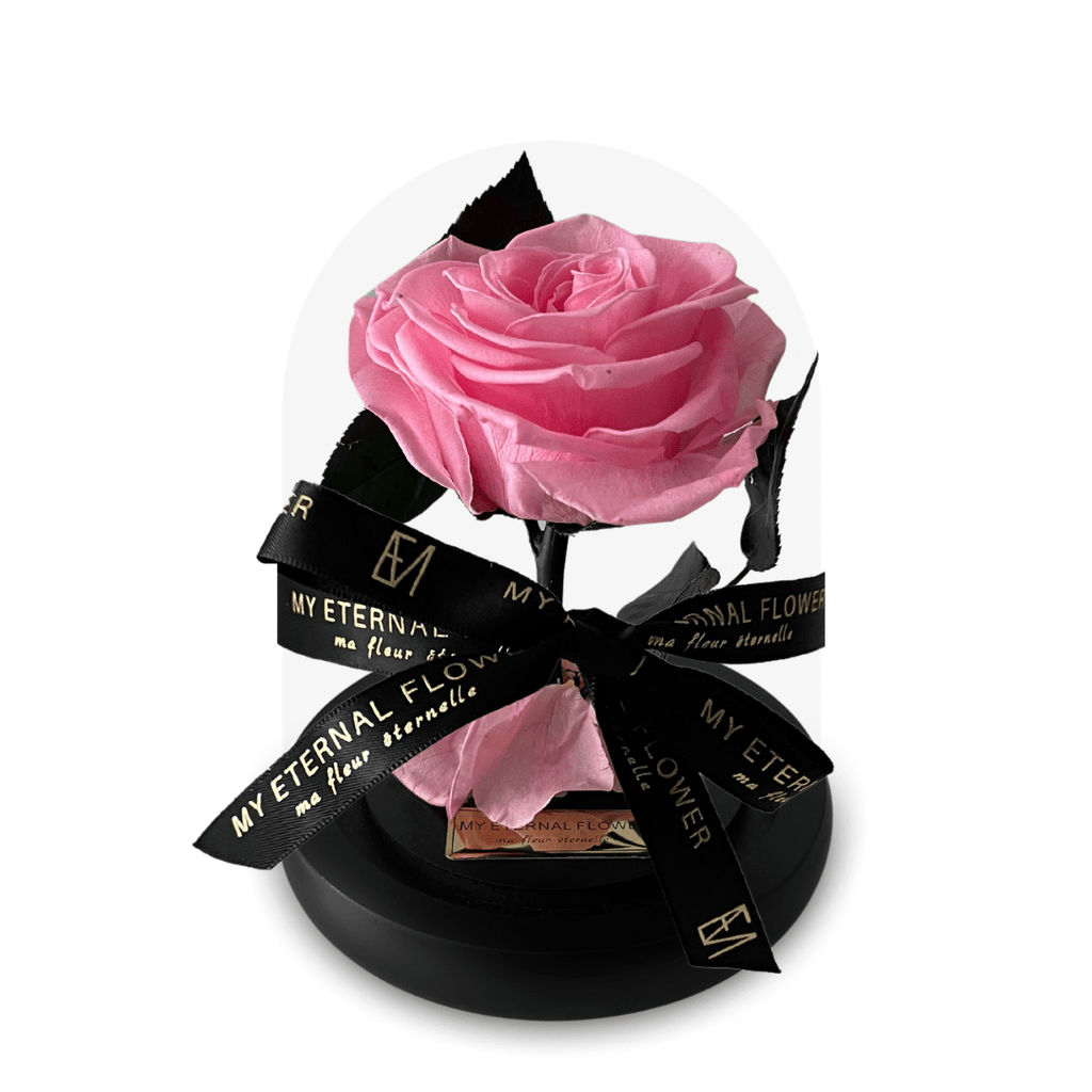 Mini Luxe Eternal Rose Dome in Pink Rose – My Eternal Flower