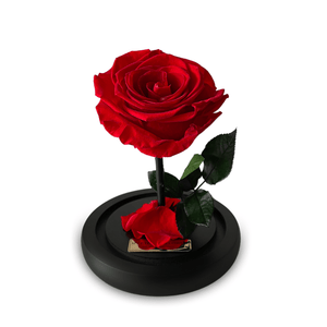Real Roses That Last A Year | Eternal Flower® & Luxury Gifts – My ...